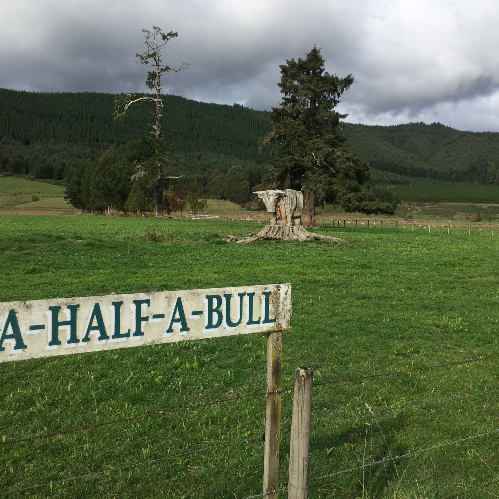 Construction of new section of Great Taste Trail underway - Heart of Biking