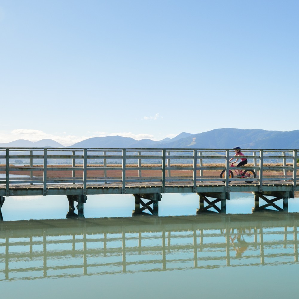 Social & Economic Impact Assessment for the Great Taste Trail - Heart ...